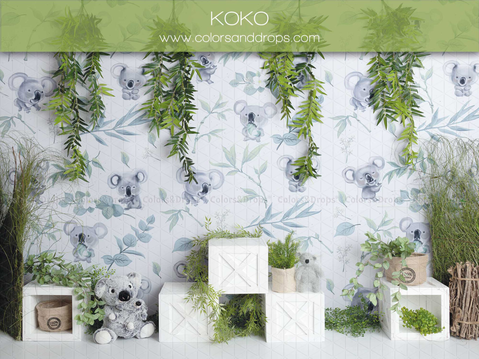 Mes fonds de studio - Photographe Yvelines